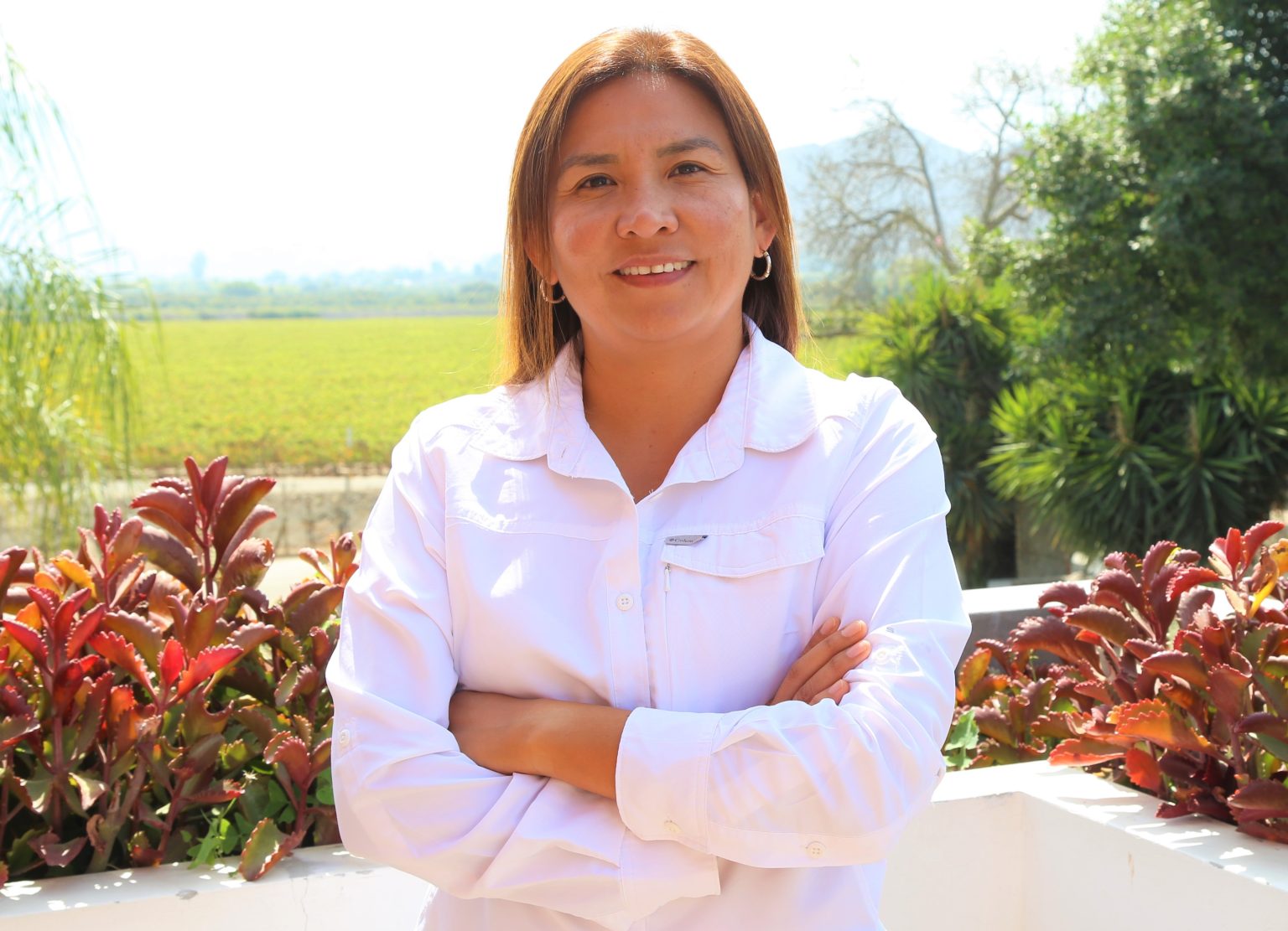 Nosotros | Agrícola Don Ricardo