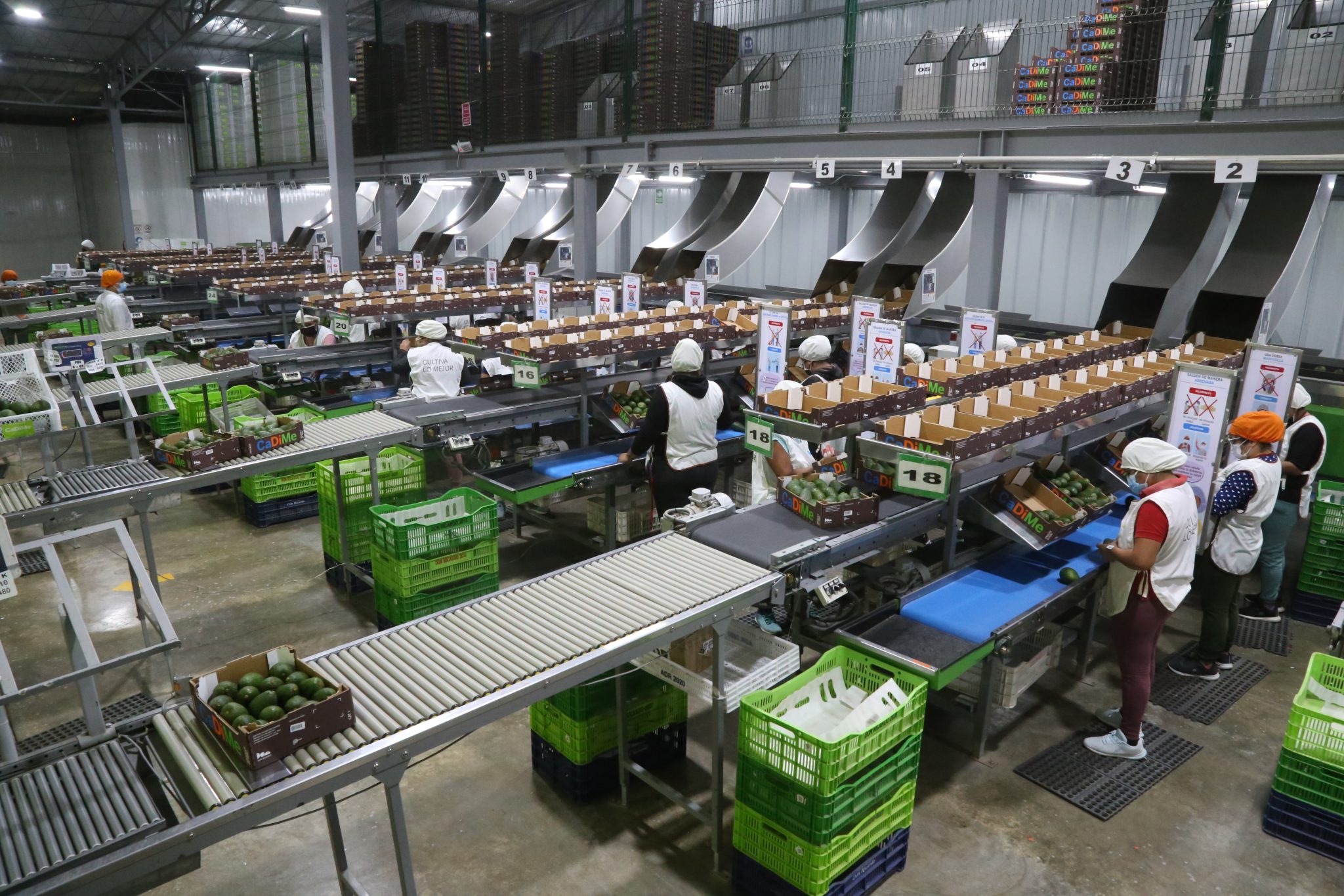 ABOUT US | Agrícola Don Ricardo