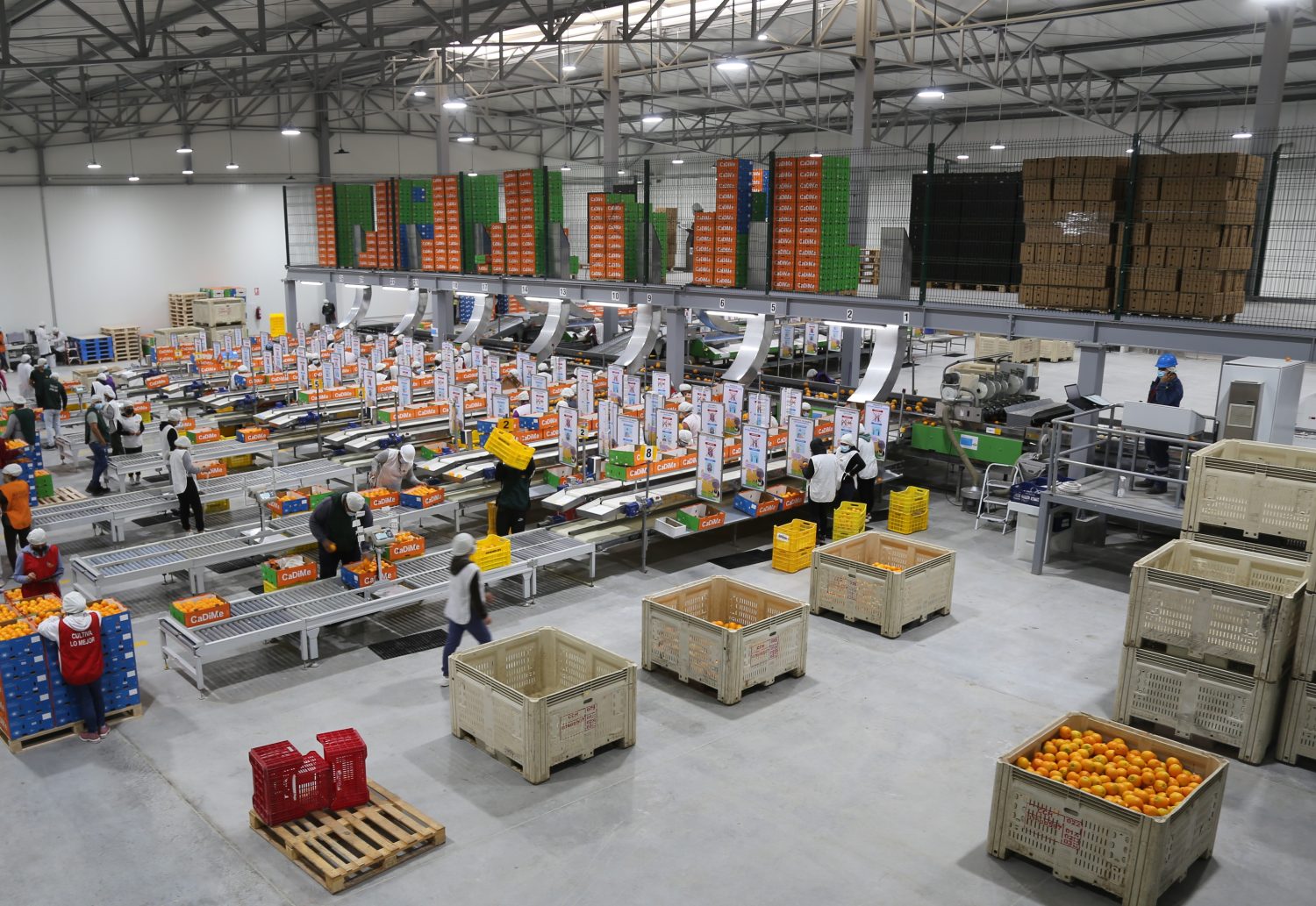 Nosotros | Agrícola Don Ricardo