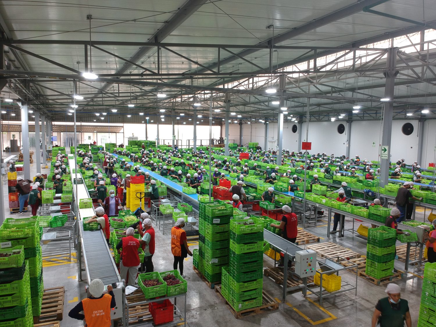 Nosotros | Agrícola Don Ricardo